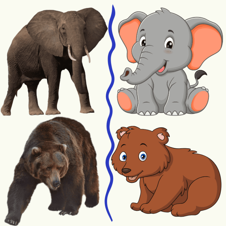 Photos vs Cartoons in Early Years - theenglishmethod.com