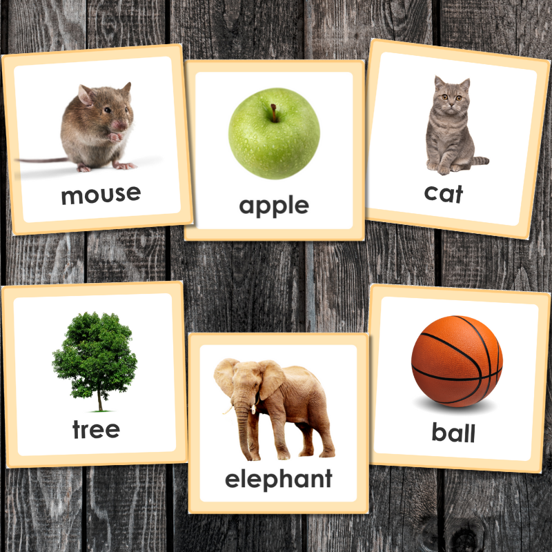 7 Foundational Picture Card Activities That Build Vocabulary Naturally ...
