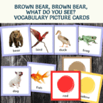 6 Foundational Picture Card Matching Games That Develop Thinking Skills ...
