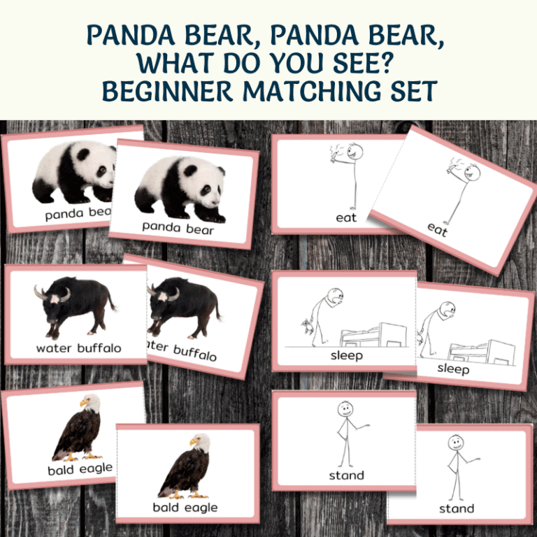 6 Foundational Picture Card Matching Games That Develop Thinking Skills ...