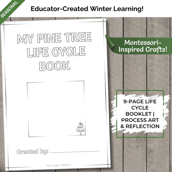 My Pine Tree Life Cycle Book - theenglishmethod.com
