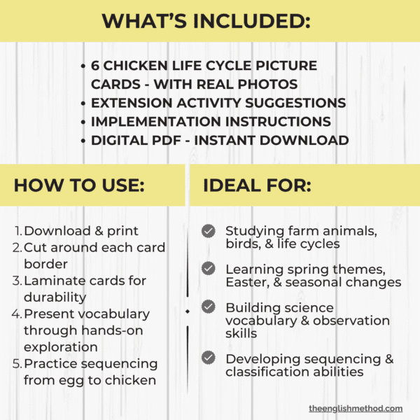 Chicken Life Cycle Cards - theenglishmethod.com